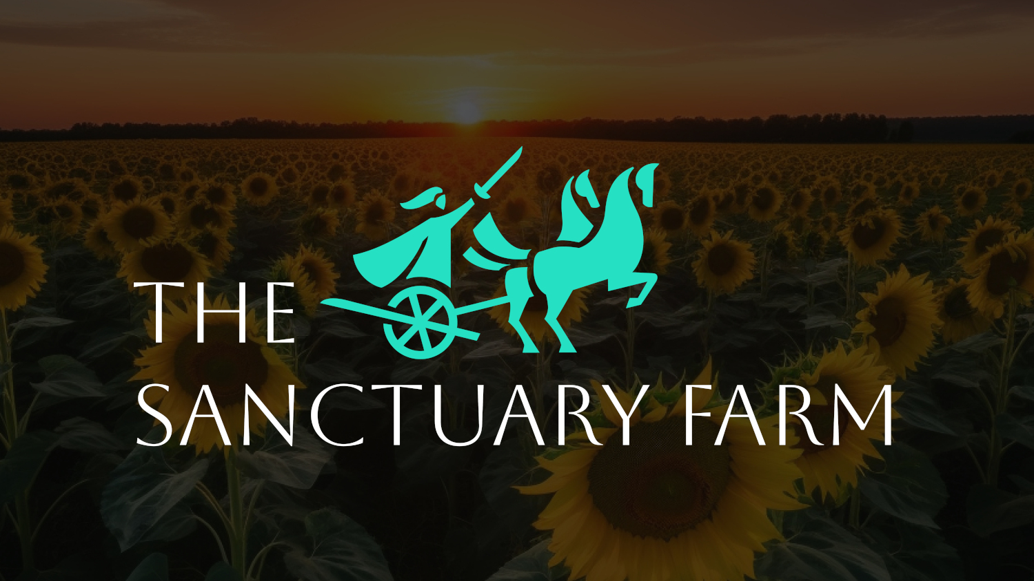 About Us - The Sanctuary Farm